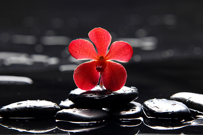 AMBA HEALTH BEAUTY SPA - Resort Spa in MUSKOKA, ON